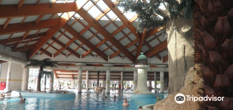 Things to do in Ilidza (2025): Top nearby activities,popular ...