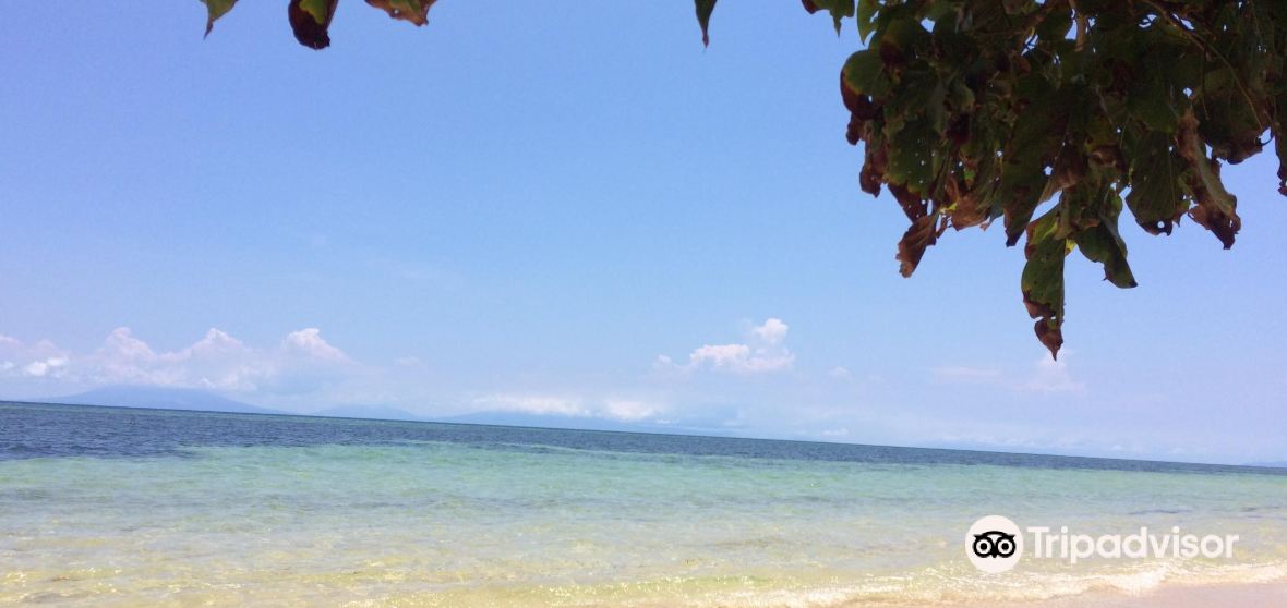Things to Do in Virac in 2024 - Top Attractions, Local Food, Hotels ...