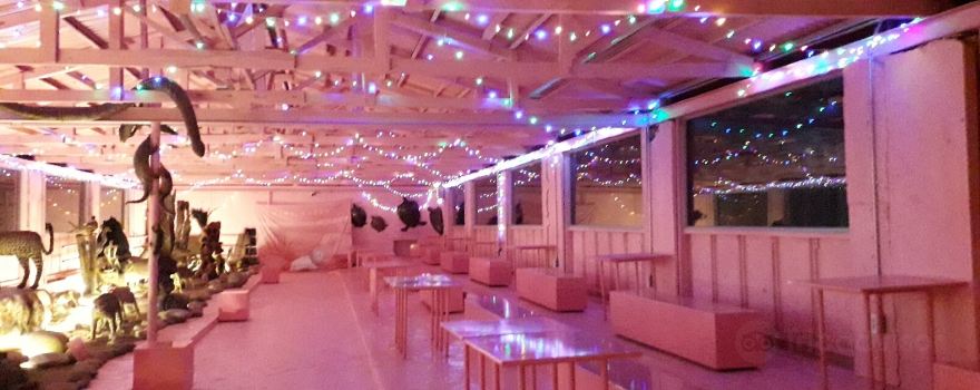 Jinhae-gu Travel Guide 2024 - Things to Do, What To Eat & Tips | Trip.com