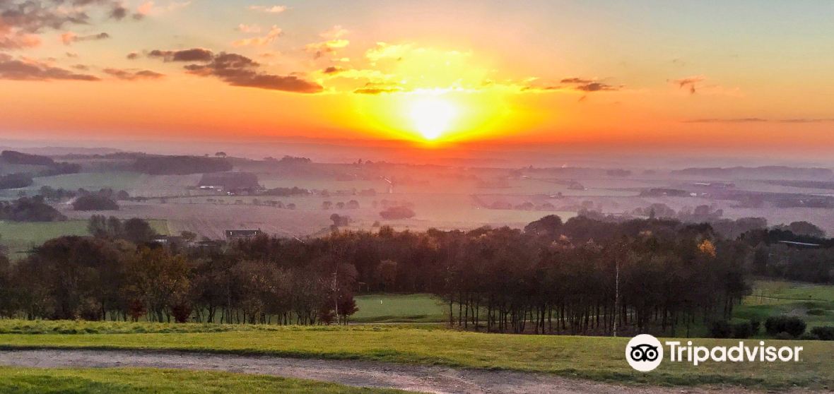 Things to Do in Billinge in 2025 - Top Attractions, Local Food, Hotels ...