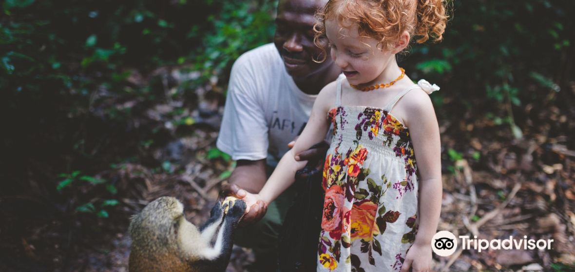 Things to do in Hohoe (2025): Top nearby activities,popular attractions ...