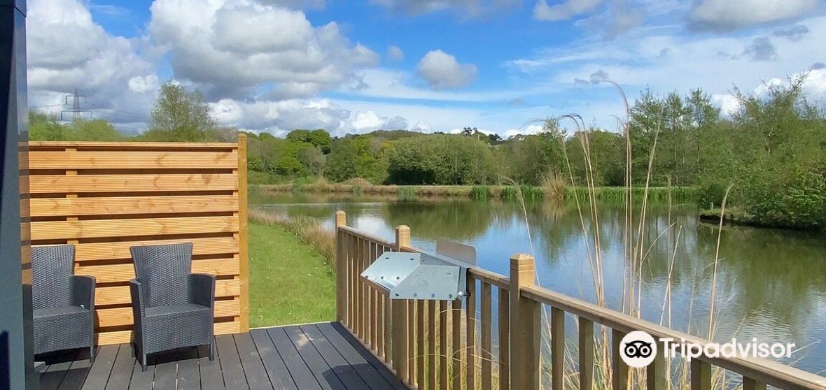 Things to Do in Rudry in 2024 - Top Attractions, Local Food, Hotels ...