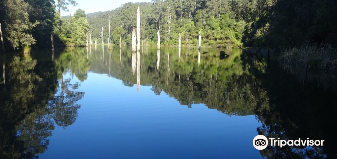 แนะนำการเดินทาง Barwon Downs 2024 - สิ่งที่ควรทำ, อาหารที่ควรรับประทาน ...