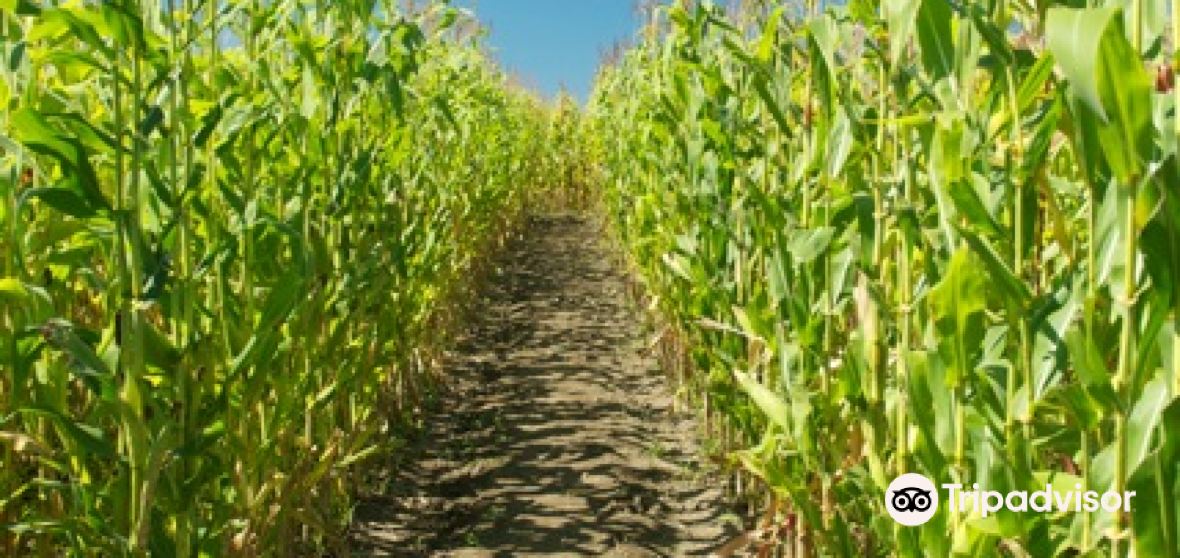 Things to do in Frontenac Islands (2025): Top nearby activities,popular ...