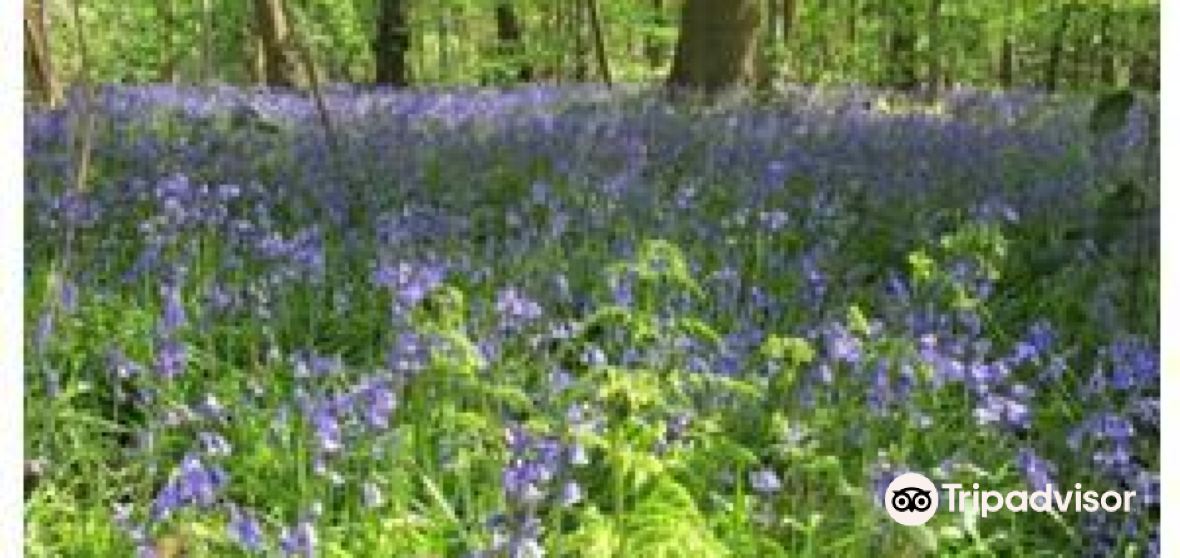 Things to do in Bilbrook (2025): Top nearby activities,popular ...