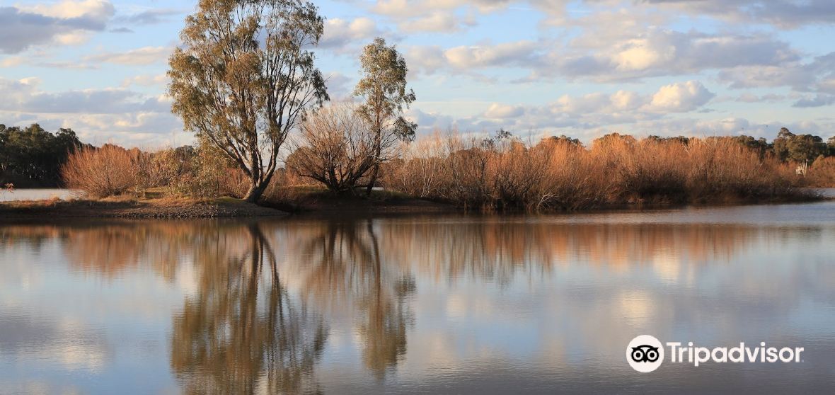 Barmedman Travel Guide 2025: Top Attractions, Things to Do & Deals ...