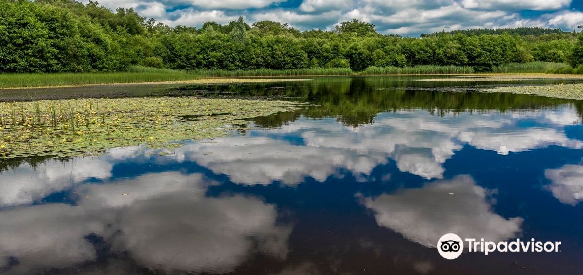 เที่ยวPontlliw (2025) - ที่เที่ยวใน Pontlliw, กิจกรรมสนุกๆ, โรงแรม ...