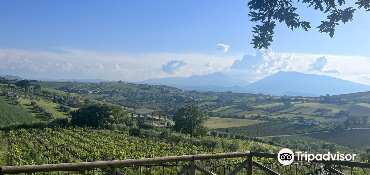 Things to Do in Torano Nuovo in 2024 - Top Attractions, Local Food ...