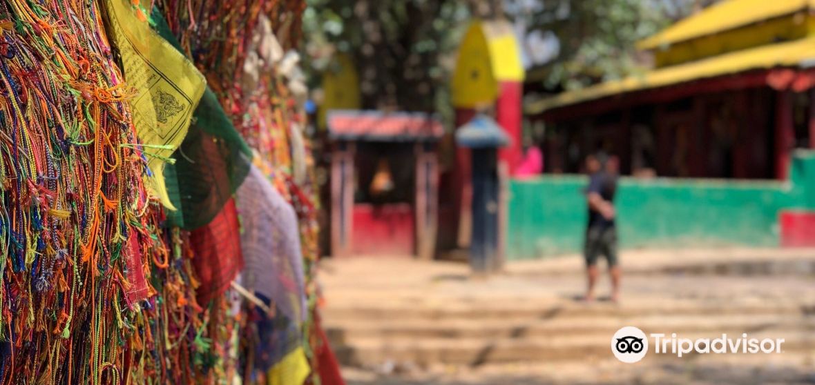 Things to do in Sunsari (2025): Top nearby activities,popular ...