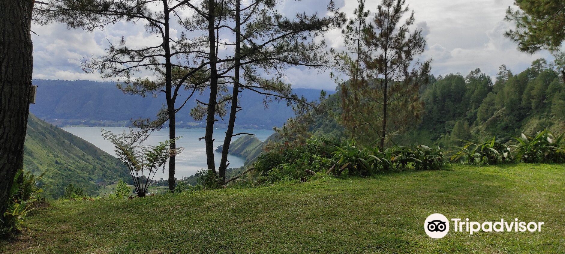 10 Hotel Terbaik dekat Desa meat wisata, Toba Regency| Trip.com