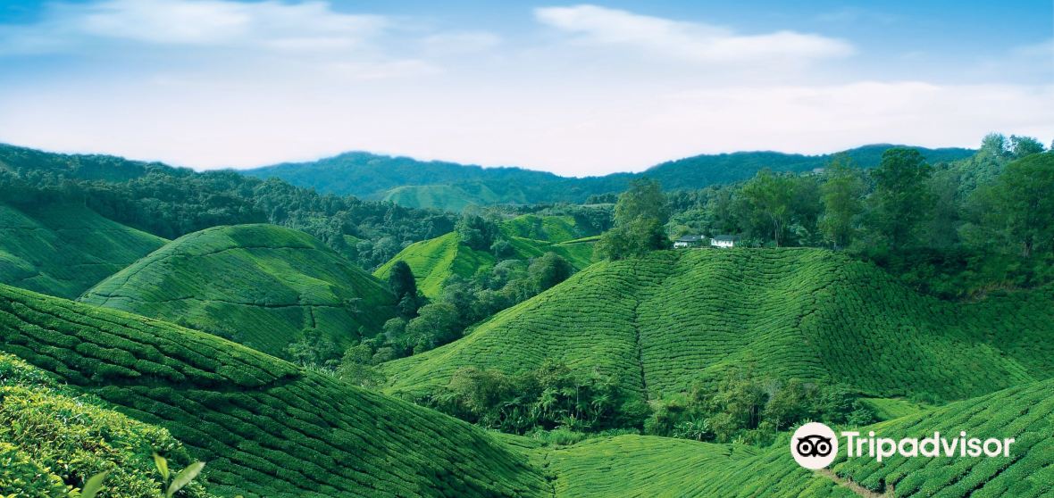 Things to Do in Ulu Telom in 2025 - Top Attractions, Local Food, Hotels ...