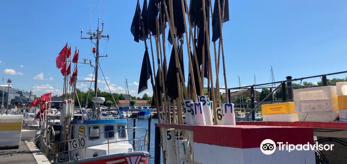 Things to Do in Lomma in 2025 - Top Attractions, Local Food, Hotels ...