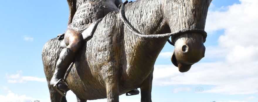 Things to Do in Warialda Rail in 2025 - Top Attractions, Local Food ...