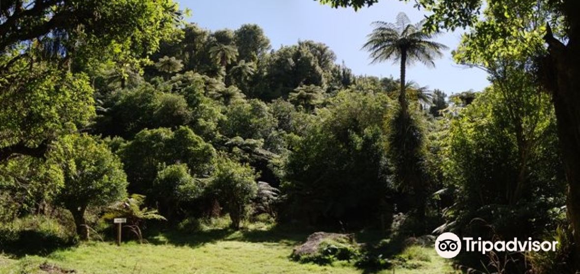 แนะนำการเดินทาง Paparangi 2024 - สิ่งที่ควรทำ, อาหารที่ควรรับประทาน ...