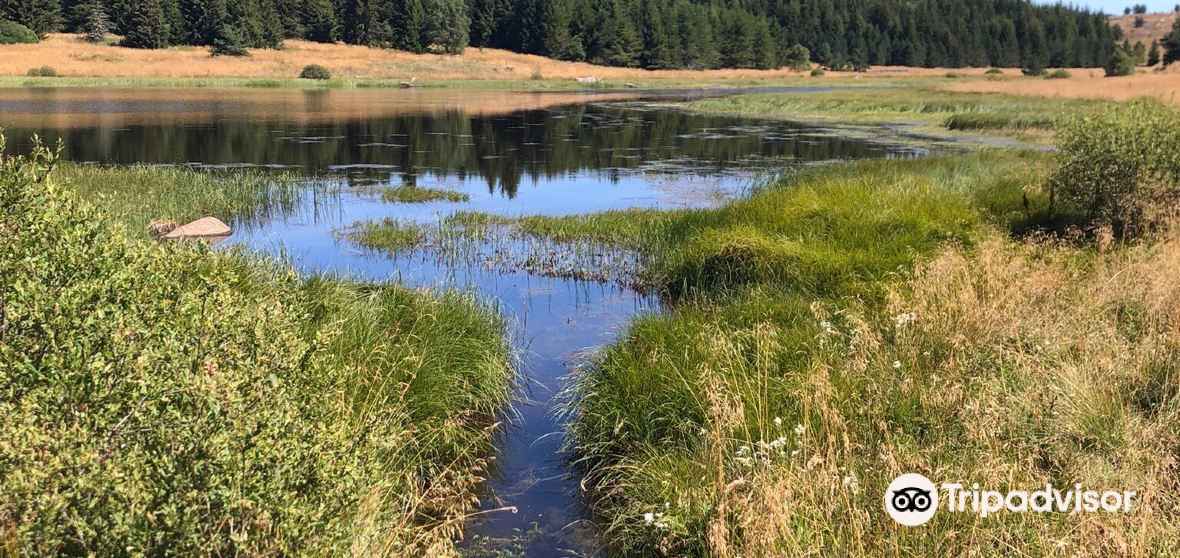 Things to do in Le Born (2025): Top nearby activities,popular ...