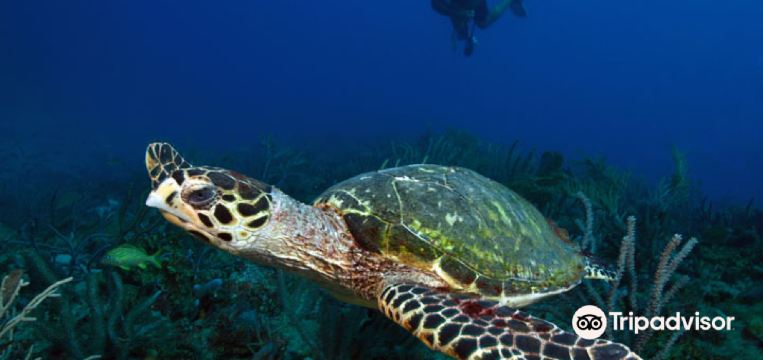 Crochu Travel Guide 2024 - Things to Do, What To Eat & Tips | Trip.com