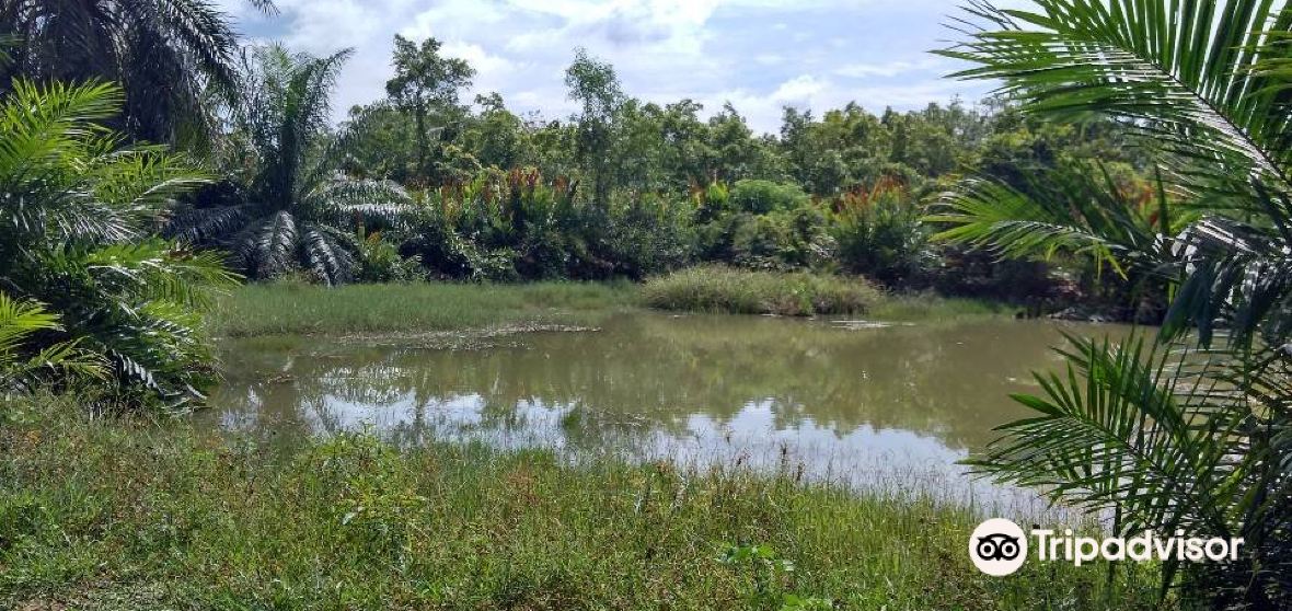 Things to Do in Bujang in 2024 - Top Attractions, Local Food, Hotels ...