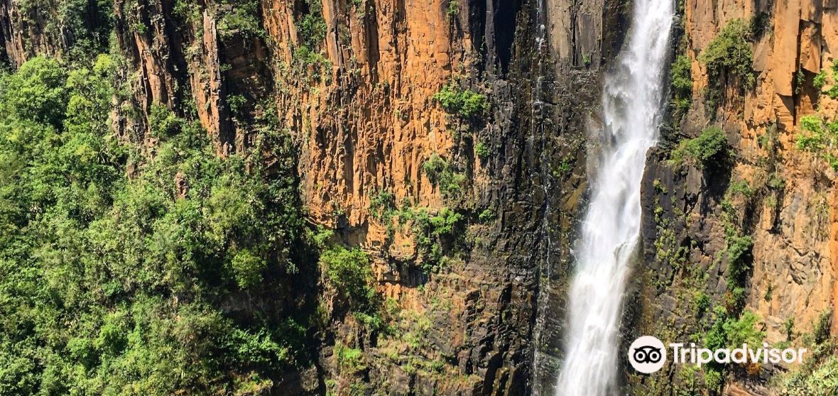 Things to Do in Howick in 2024 - Top Attractions, Local Food, Hotels ...