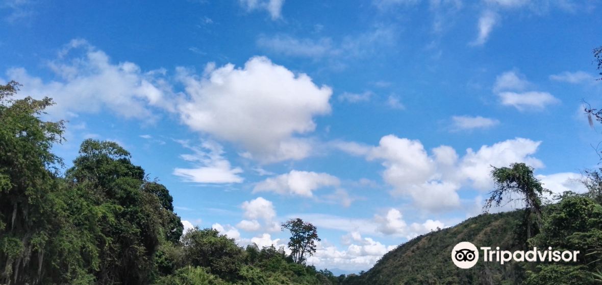 Tulua Travel Guide 2025: Top Attractions, Things to Do & Deals | Trip ...