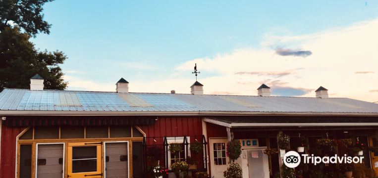 Things to Do in Upper Allen Township in 2025 - Top Attractions, Local ...