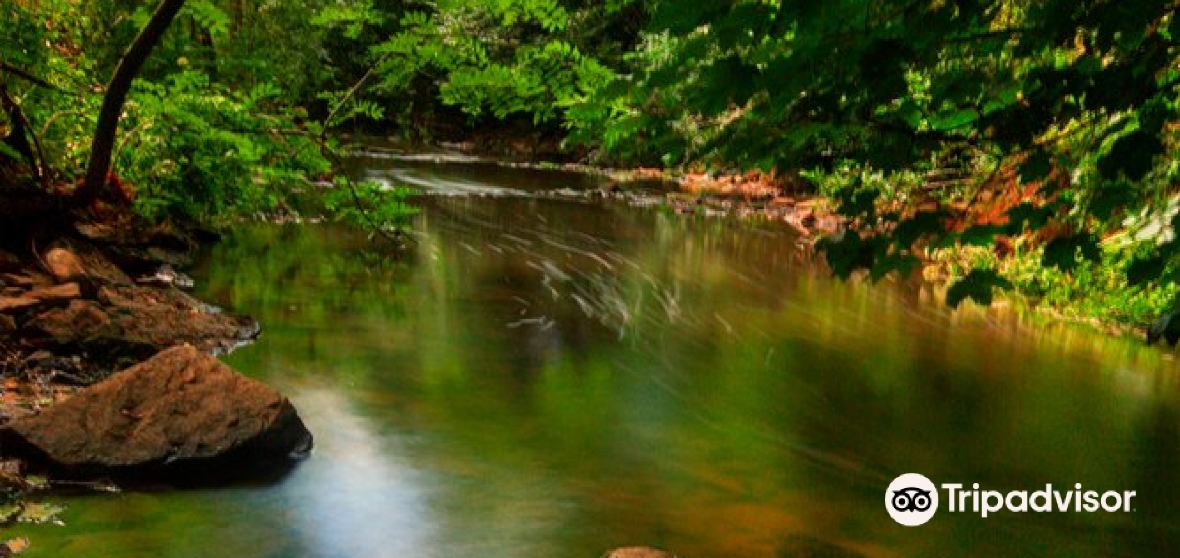 Things to Do in Iron Acton in 2024 - Top Attractions, Local Food ...