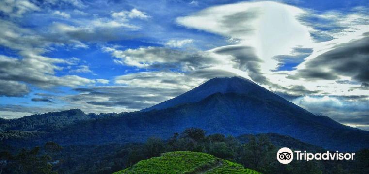 Things to Do in Purwokerto Lor in 2025 - Top Attractions, Local Food ...