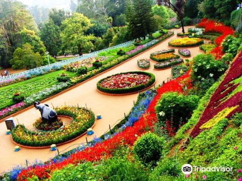 Best Budget Family Hotels in Ooty | Trip.com