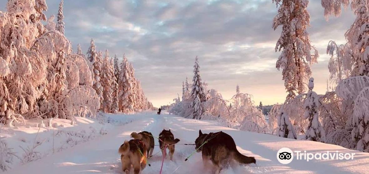 Vindeln Municipality Travel Guide 2024 - Things to Do, What To Eat ...