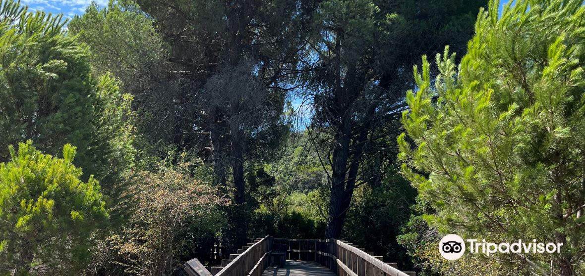 Things to do in Mora (2025): Top nearby activities,popular attractions ...