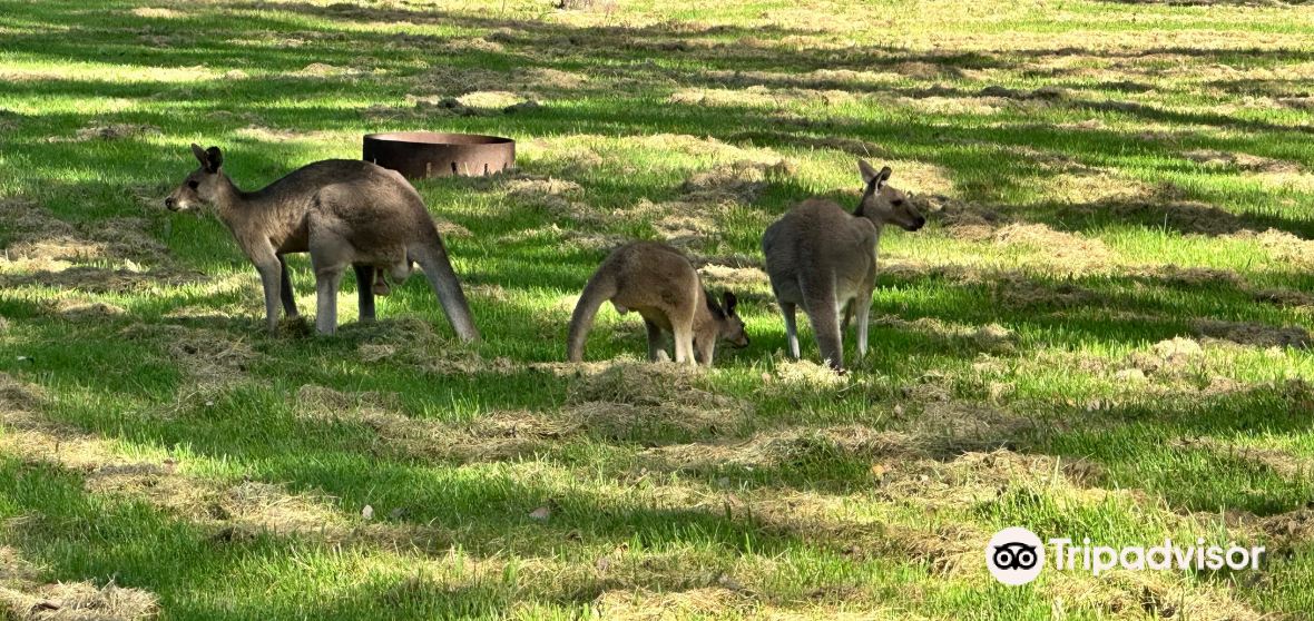 Jimna Travel Guide 2025: Top Attractions, Things to Do & Deals | Trip ...