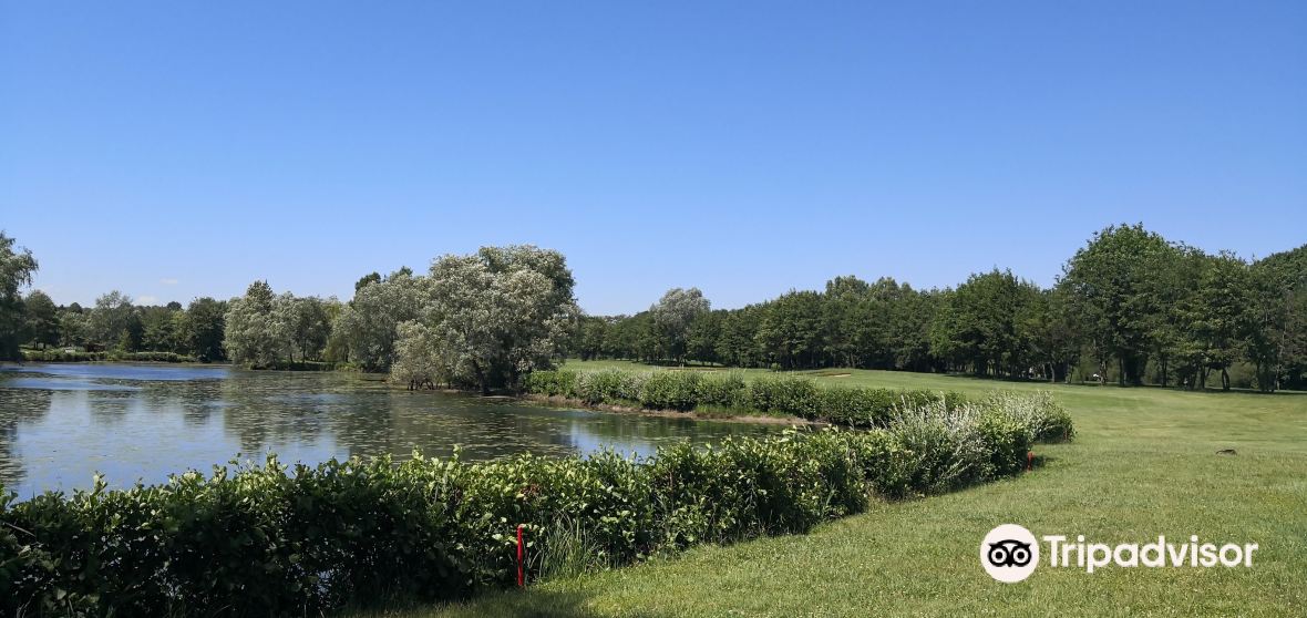 Things to Do in Soufflenheim in 2024 - Top Attractions, Local Food ...