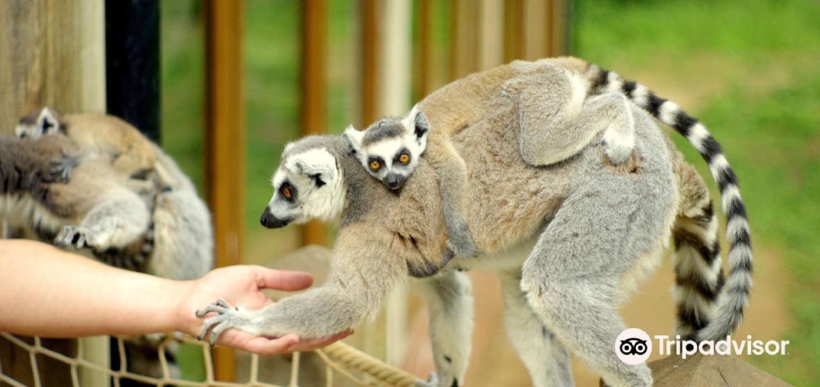 Things to Do in North Anston in 2024 - Top Attractions, Local Food ...