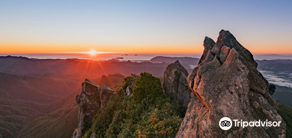 Things to do in Hikuai (2025): Top nearby activities,popular ...