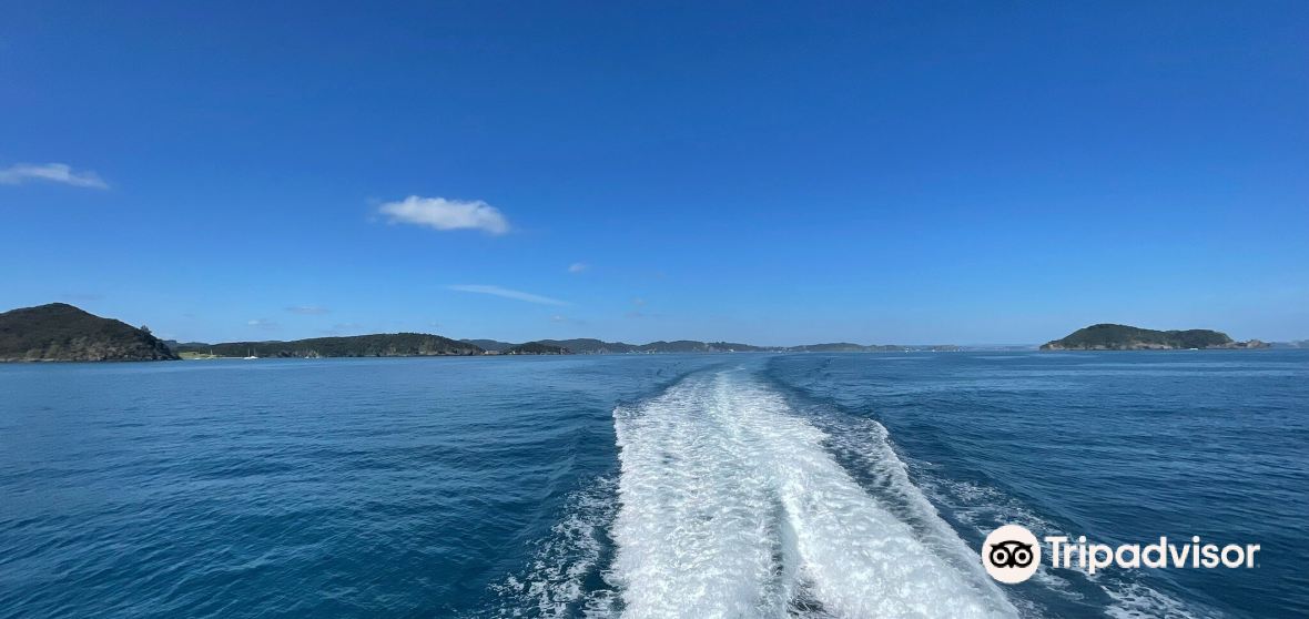 Moturoa Island Travel Guide 2026: Top Attractions, Things to Do & Deals ...