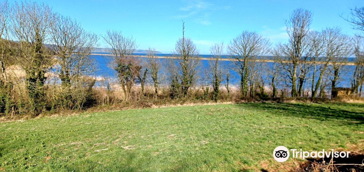 Stokenham Travel Guide 2023 - Things to Do, What To Eat & Tips | Trip.com