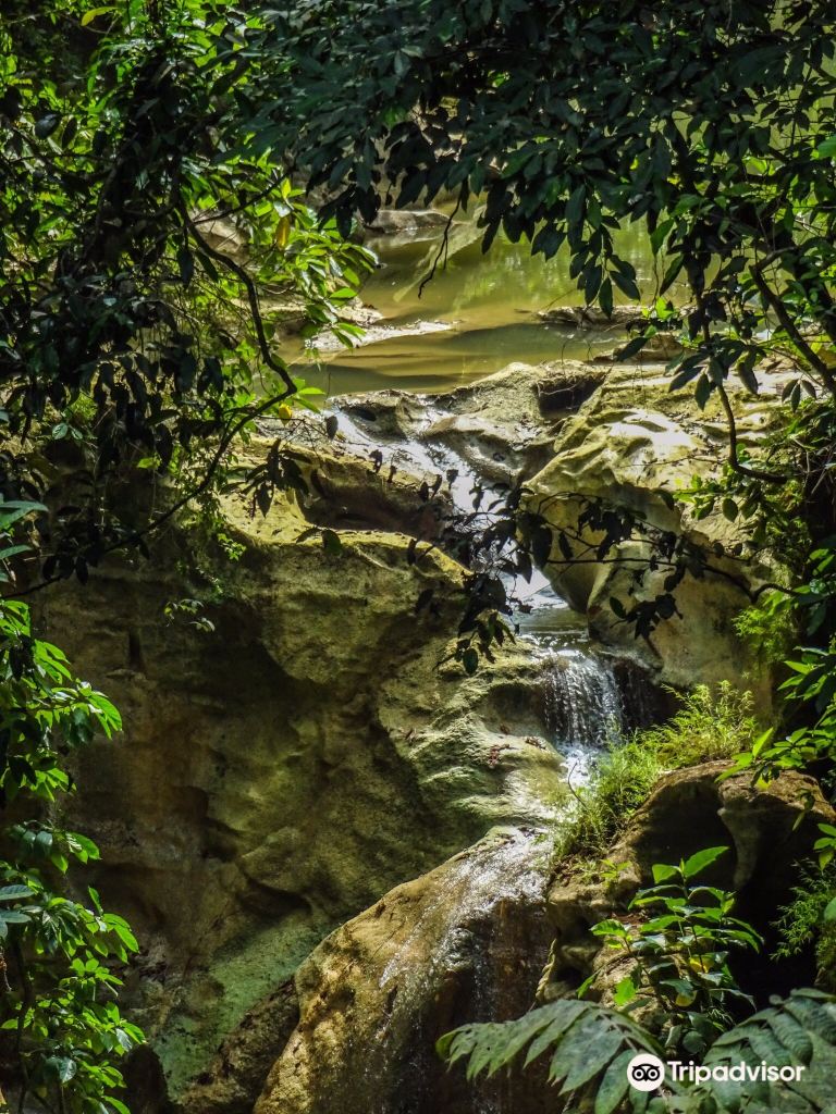 10 Hotel Terbaik dekat SMK Kusuma Negara Mojoagung, Kabupaten Jombang ...