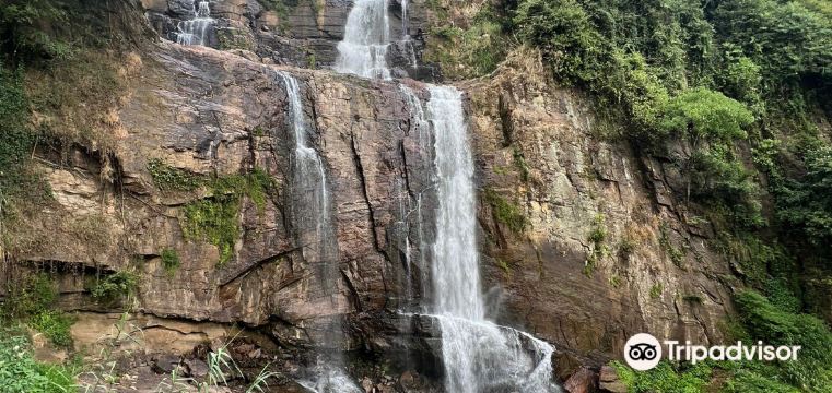 แนะนำการเดินทาง Nainamadama 2024 - สิ่งที่ควรทำ, อาหารที่ควรรับประทาน ...