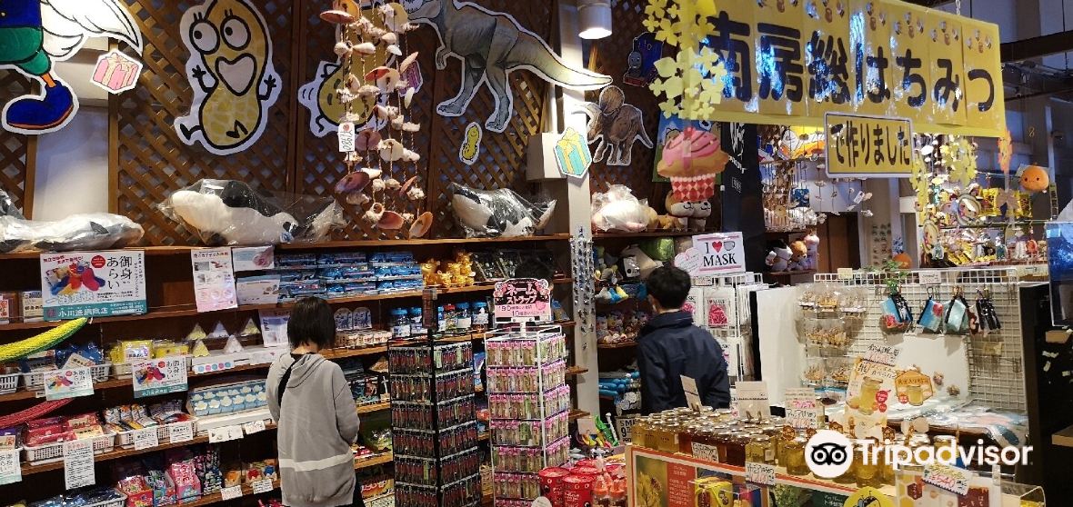 Things to Do in Futtsu in 2024 - Top Attractions, Local Food, Hotels ...