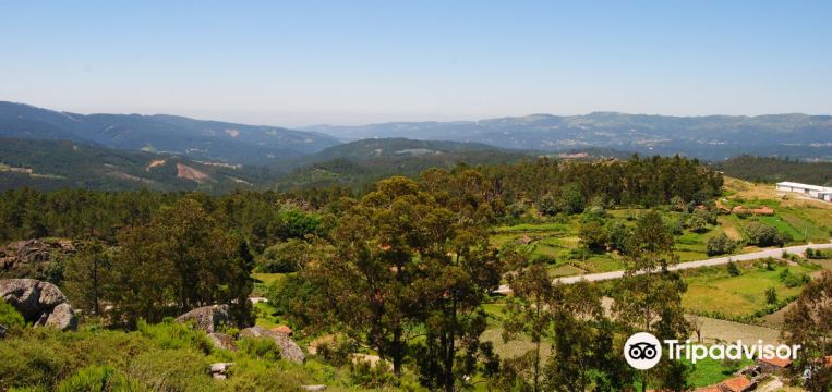 Campia Travel Guide 2026: Top Attractions, Things to Do & Deals | Trip ...