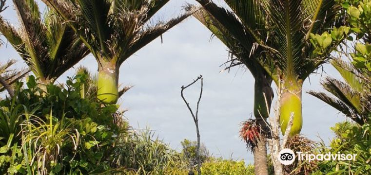 Things to Do in Point Elizabeth in 2024 - Top Attractions, Local Food ...