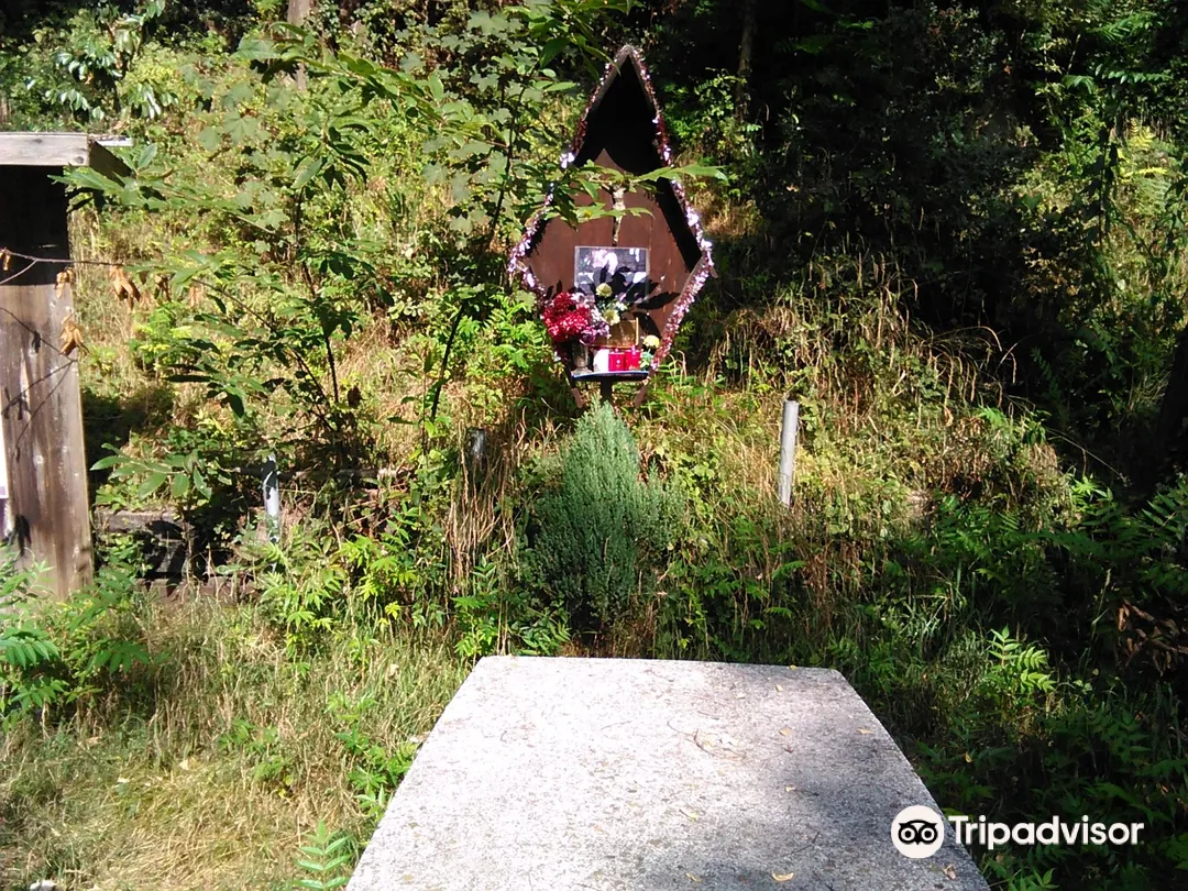 réductions sur les billets de Fonte di Manigunda, prix et frais ...