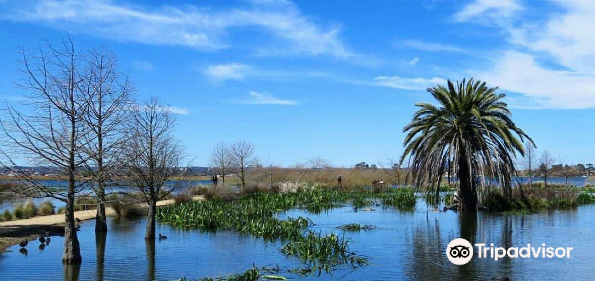 Things to Do in Lake Wendouree in 2024 - Top Attractions, Local Food ...