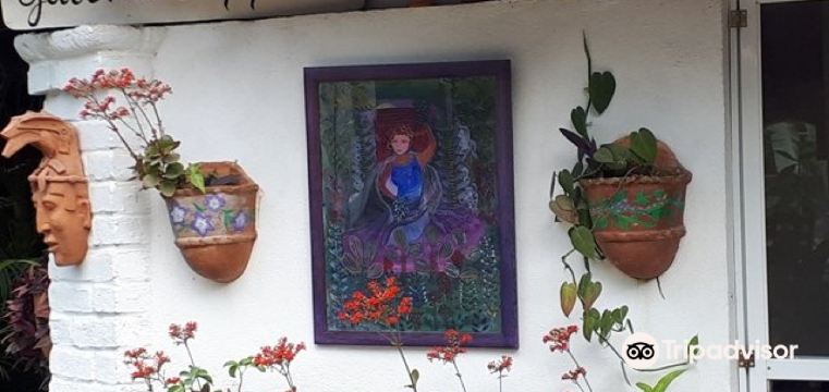 Things to do in El Tuito (2025): Top nearby activities,popular ...