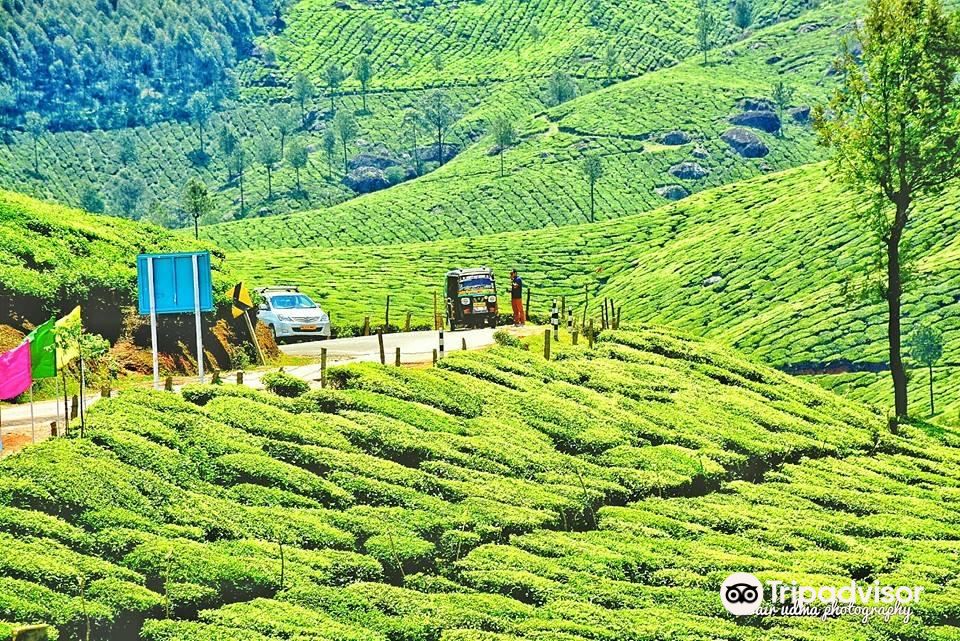 Hotels Near Megamalai View Point, Theni - Book with Free Cancellation ...