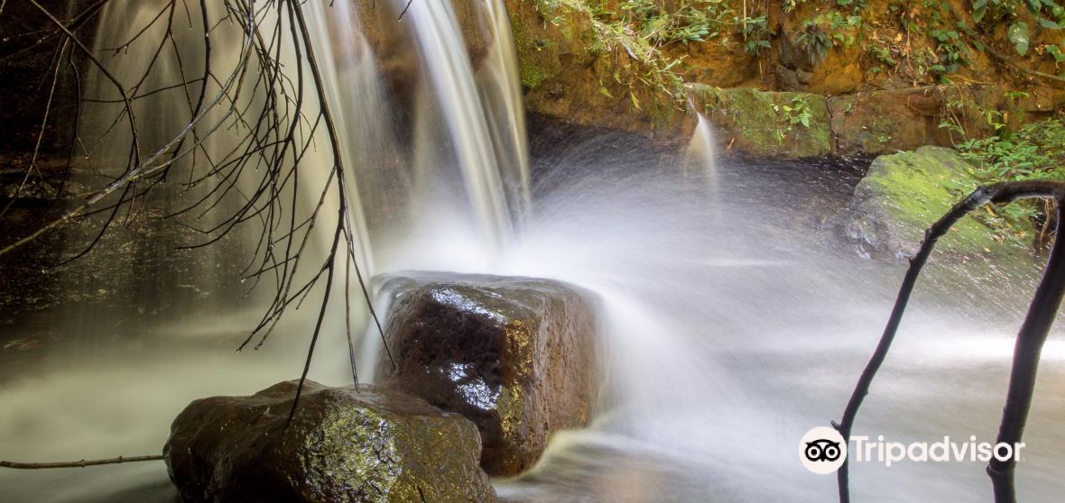 คู่มือเที่ยวBukit Puanด้วยตัวเอง (2025): สุดยอดกิจกรรมน่าสนใจใกล้ตัวคุณ ...