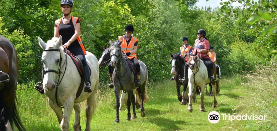 Things to do in Scarcliffe (2025): Top nearby activities,popular ...