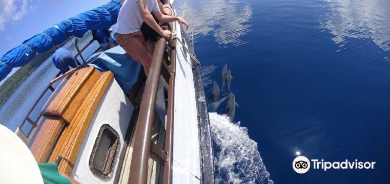 Moso Travel Guide 2026: Top Attractions, Things to Do & Deals | Trip ...