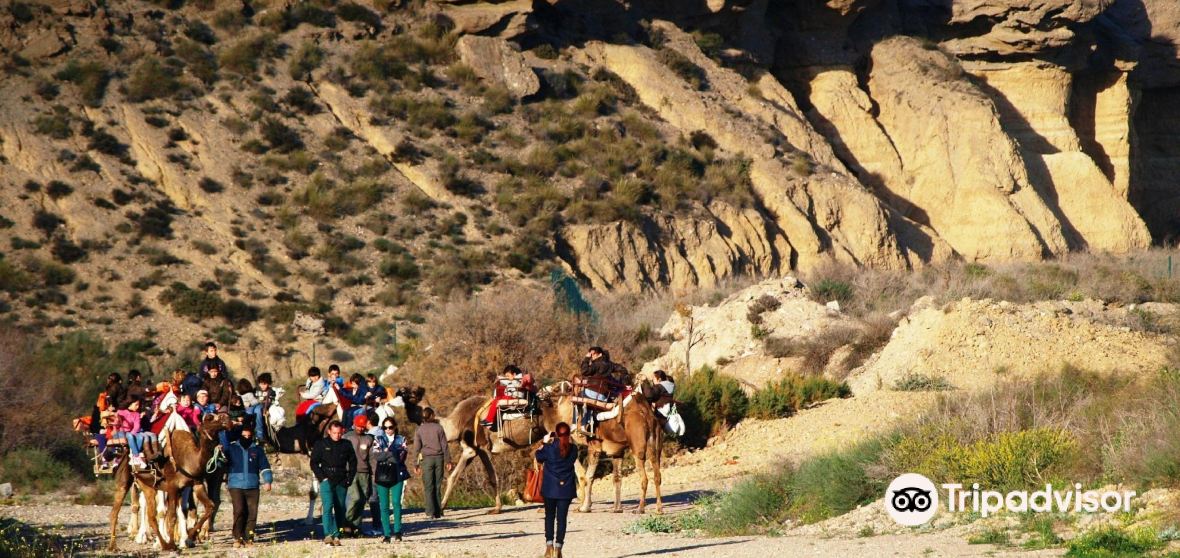 Pechina Travel Guide 2024 - Things to Do, What To Eat & Tips | Trip.com