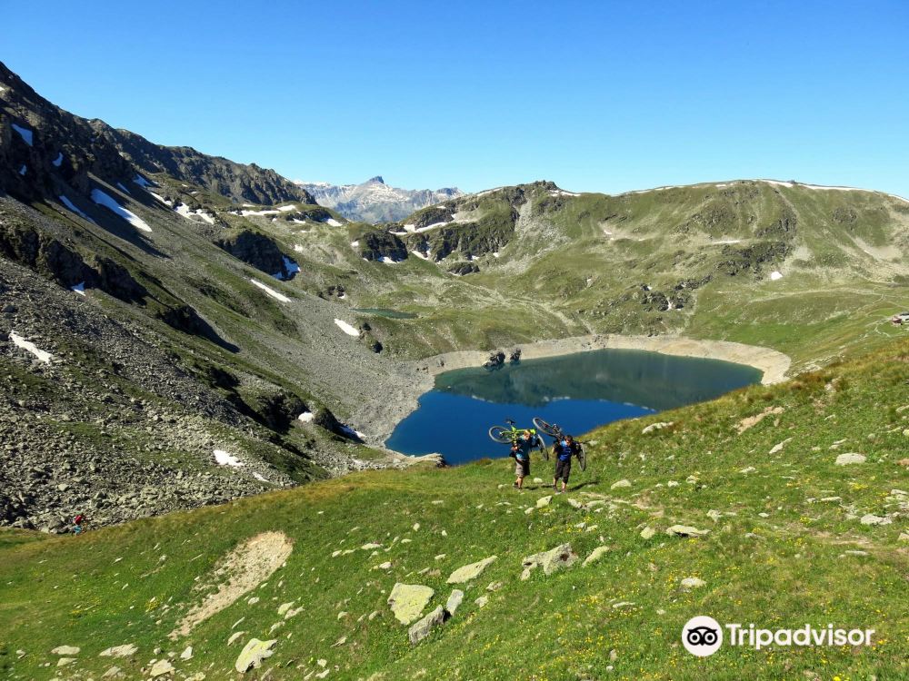 The 10 BEST Hotels in Visp, Switzerland | Trip.com