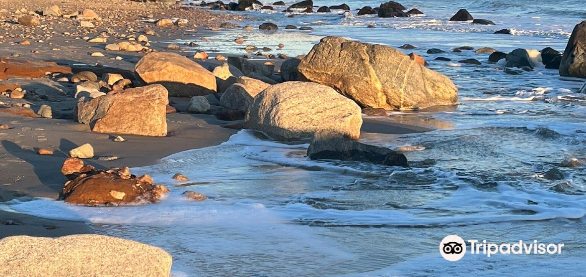 Things to Do in Chilmark in 2024 - Top Attractions, Local Food, Hotels ...